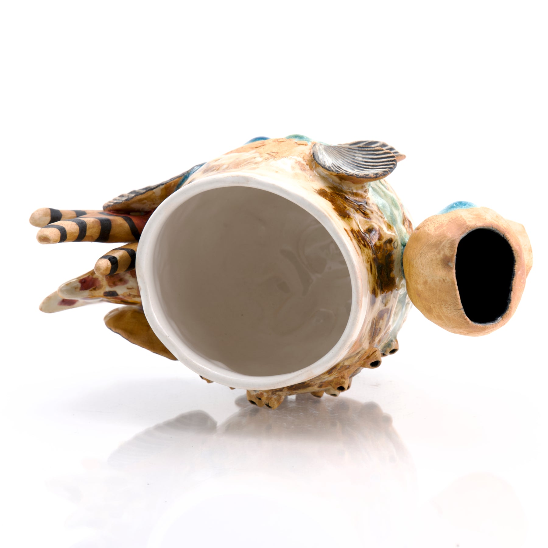 Barnacle Cup 12 oz - Lion Fish – Meghan Bergman Ceramics