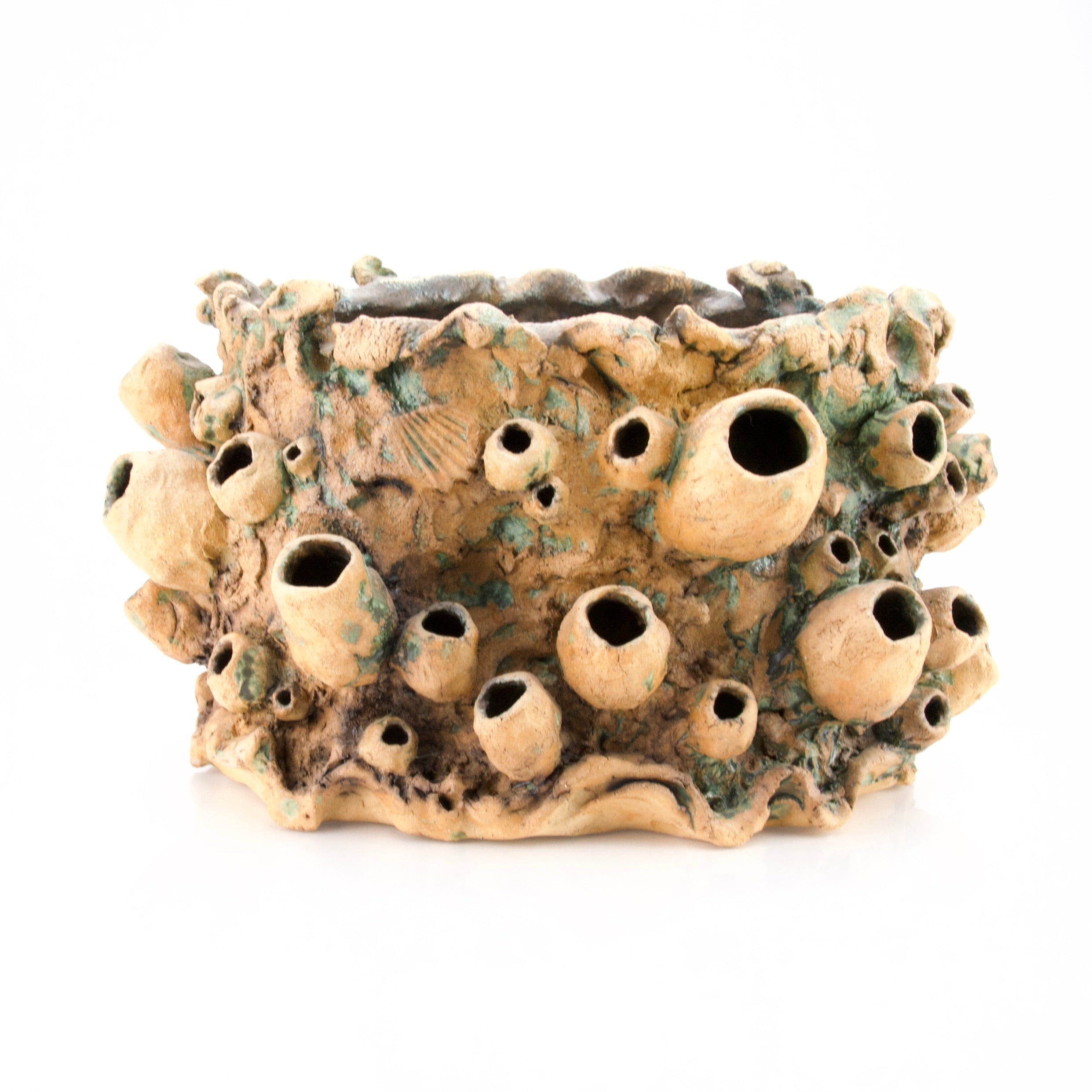 Handmade Clay Sculpture - Barnacles - Fine Art – Meghan Bergman Ceramics