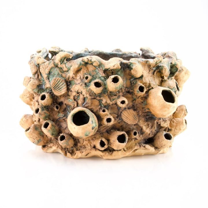Handmade Clay Sculpture - Barnacles - Fine Art – Meghan Bergman Ceramics